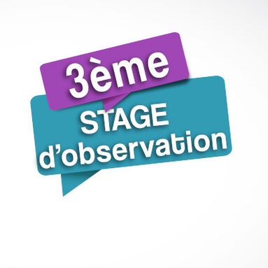 STAGE D'OBSERVATION EN MILIEU PROFESSIONNEL POUR LES ELEVES DE 3EME ...